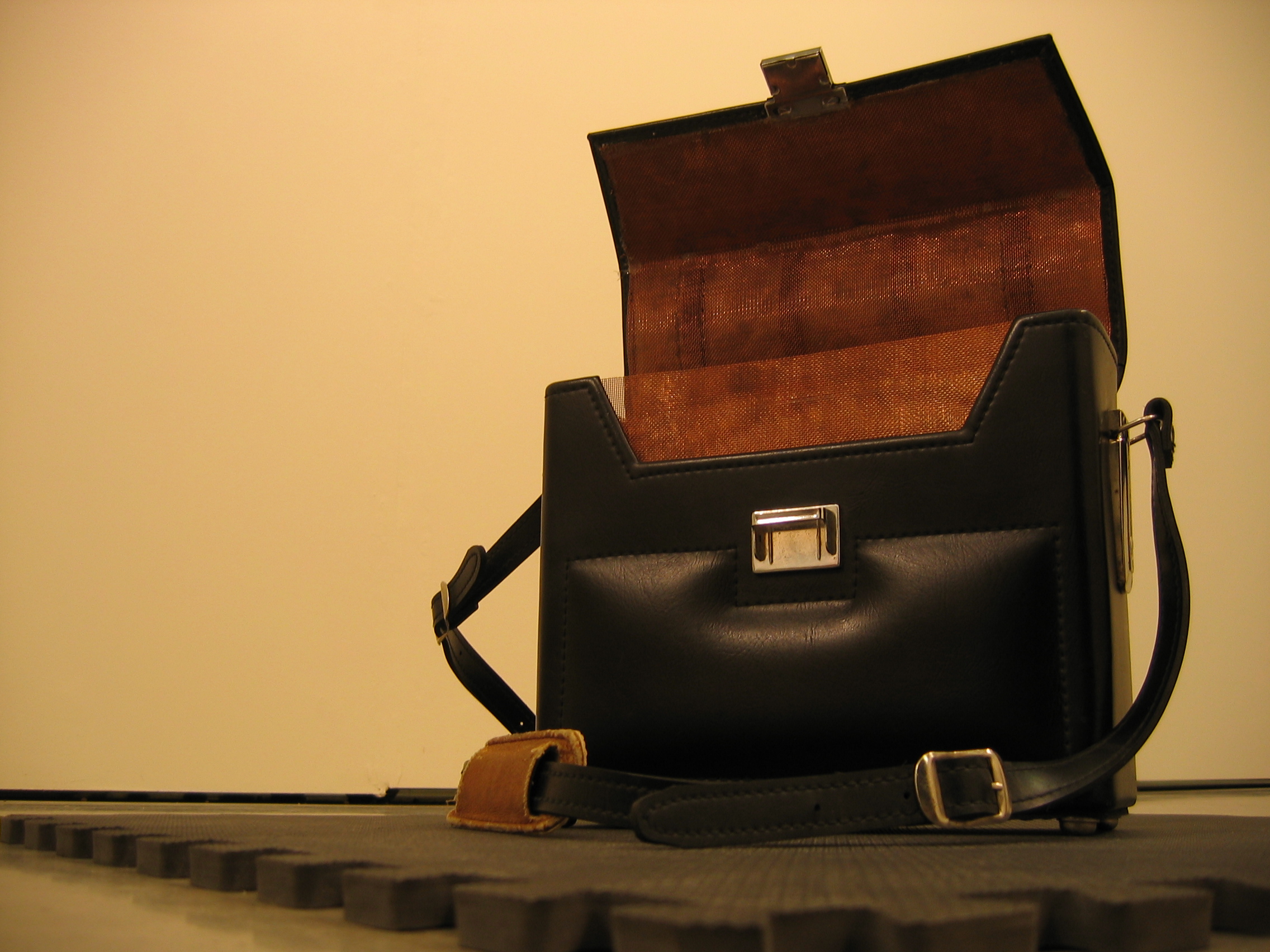 Daniel Reetz Senior Show, 2004